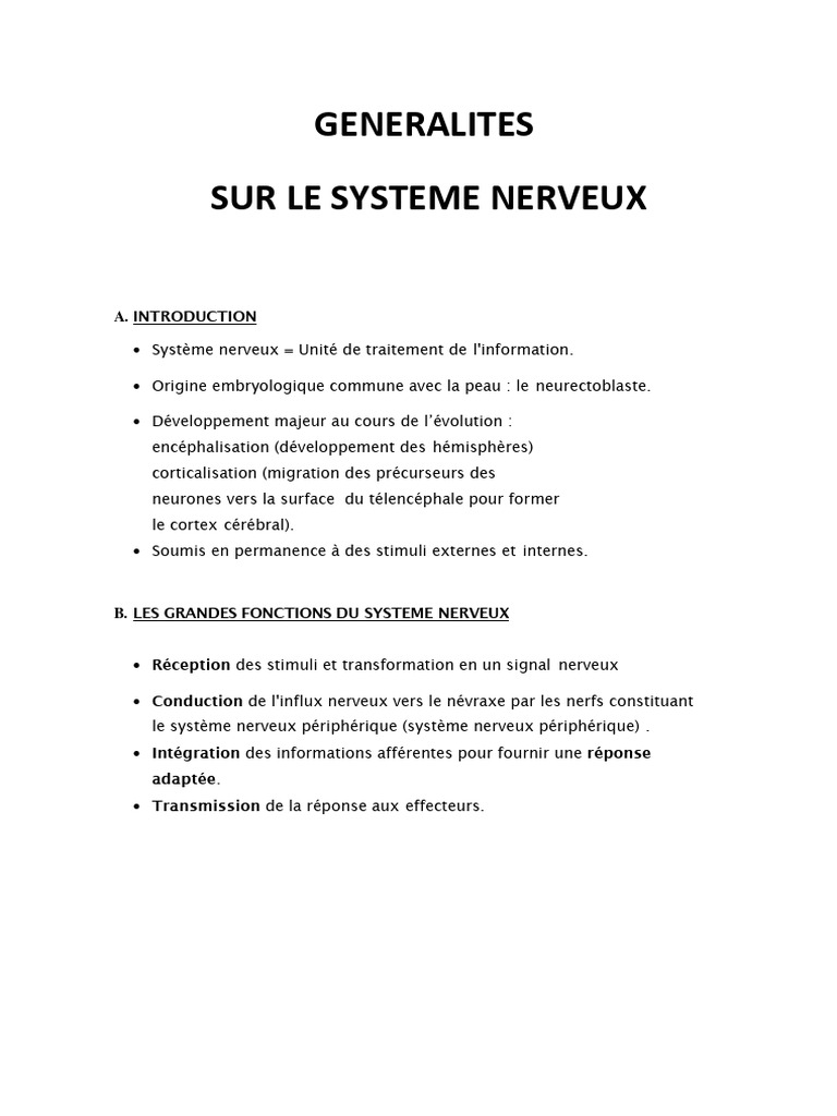 Comprendre le Système Nerveux Humain | PDF | Myéline | Système nerveux