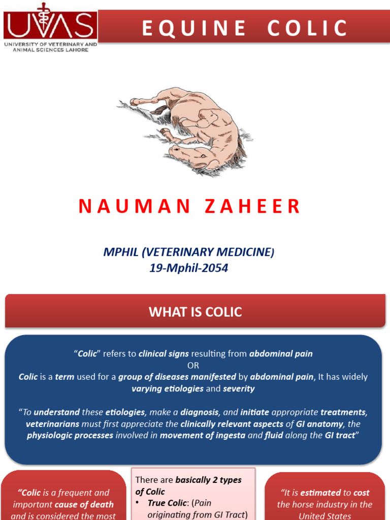 Colic by Nauman Zaheer | PDF | Flatulence | Large Intestine