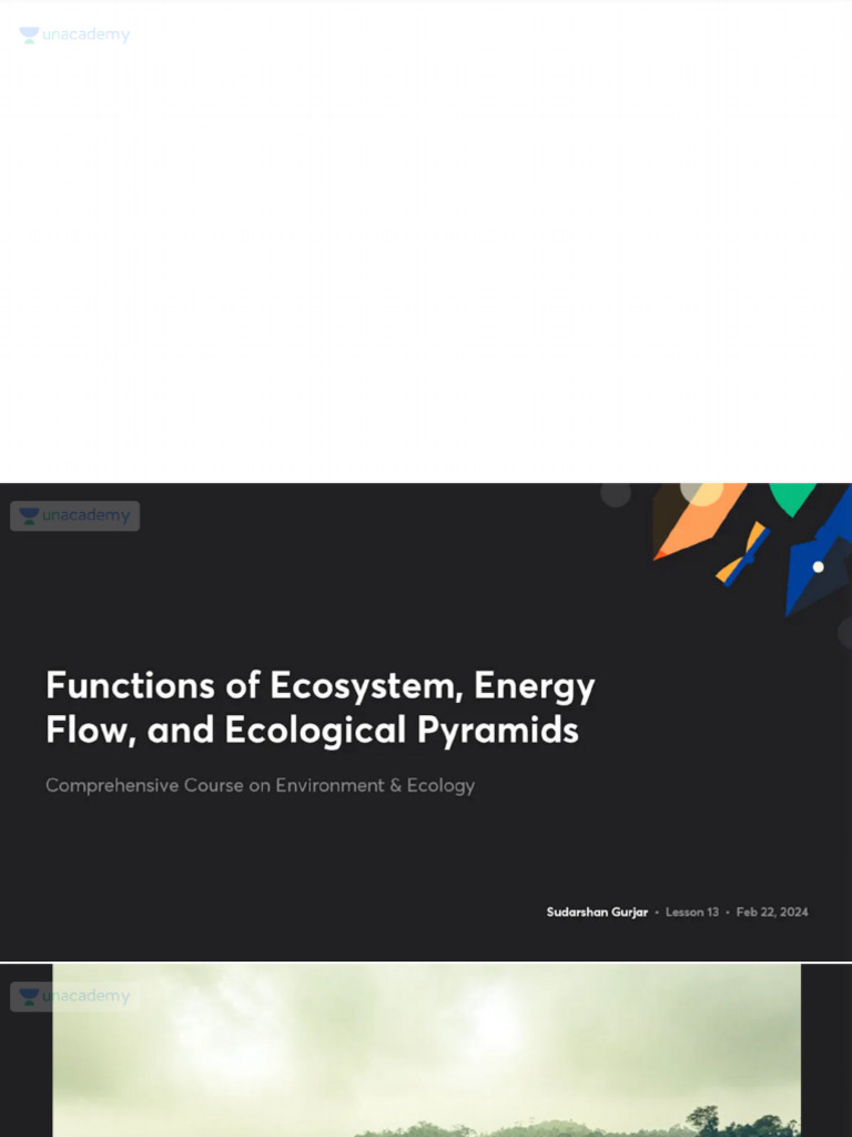 Functions - of - Ecosystem - Energy - Flow - and - Ecological ...