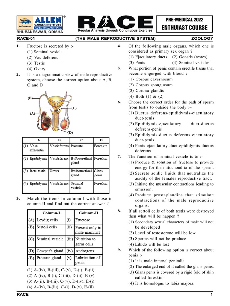 Races Reproduction | PDF | Testicle | Menstrual Cycle