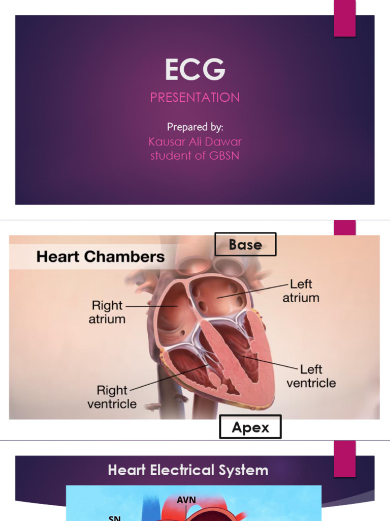 Presentation: Prepared by | PDF | Electrocardiography | Physiology