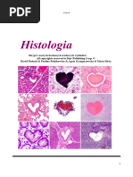 A. Przystańska - Anatomia - Jama Nosowa I Zatoki Przynosowe | PDF