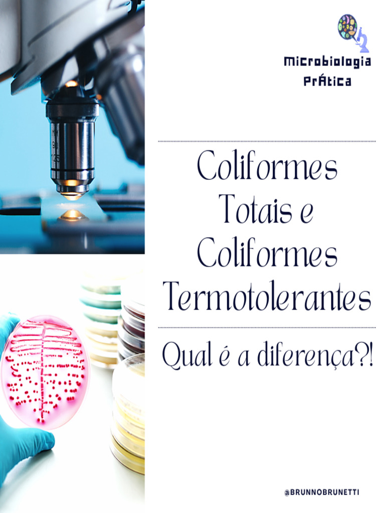 Coliformes Totais e Coliformes Termotolerantes | PDF | Escherichia Coli ...