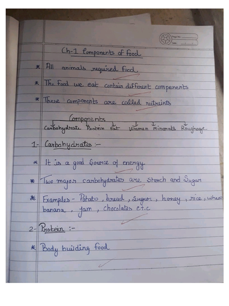 Science Work PDF | PDF