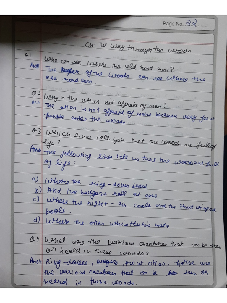English Notebook-manan Ahuja | PDF English Notebook-manan Ahuja | PDF