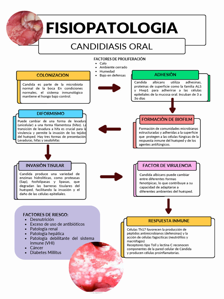 FISIOPATOLOGIA CANDIDIASIS ORAL | PDF | Sistema inmune | Biología