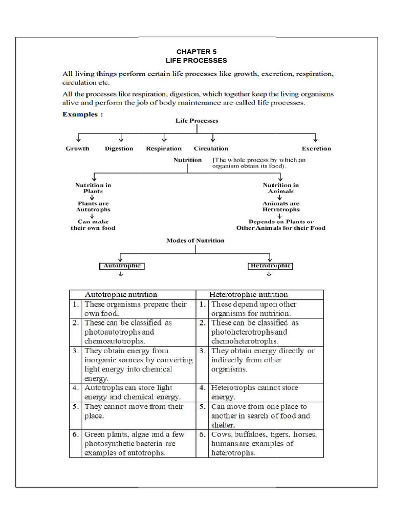 CH.5 LIFE PROCESSES NOTES ANSKEY Complete | PDF | Digestion | Atrium ...