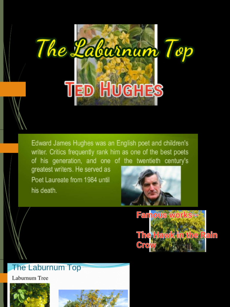 Presentationthe Laburnum Top | PDF | Art | General Fiction