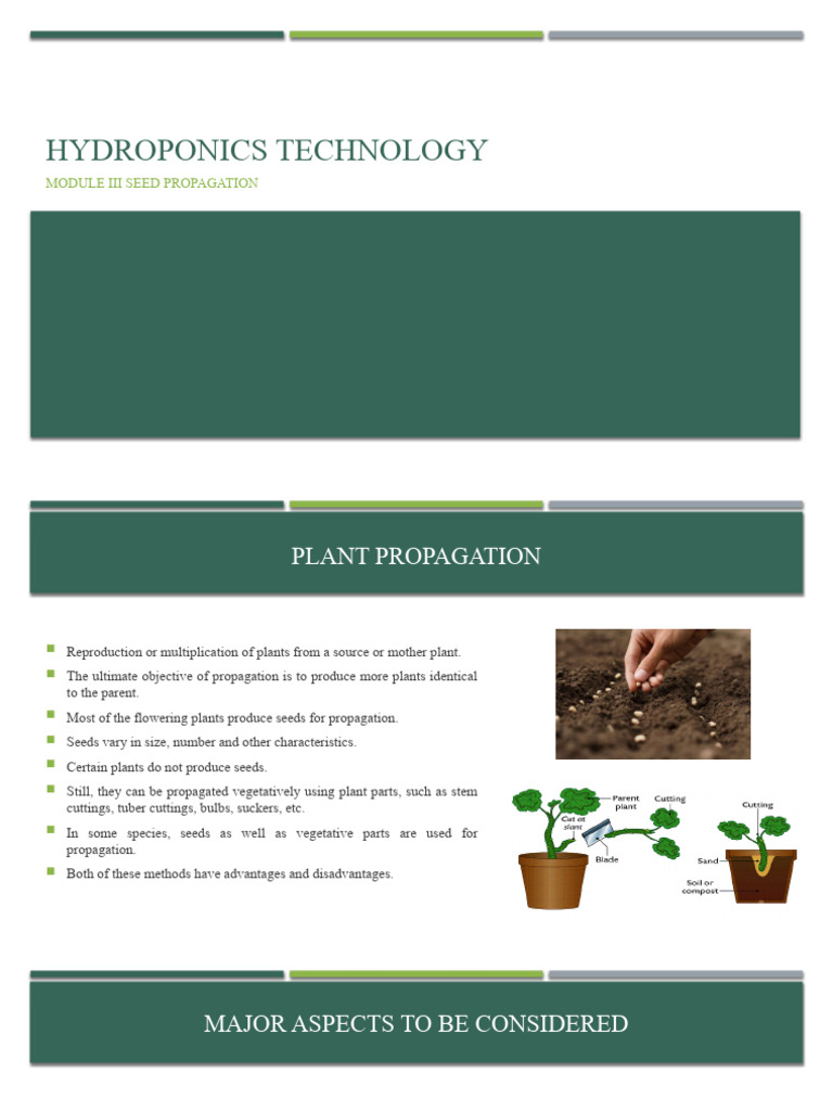 Seed Propagation in Hydroponics | PDF | Seed | Germination