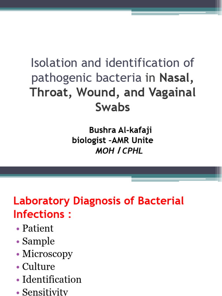 Isolation and Identification | PDF | Streptococcus | Infection