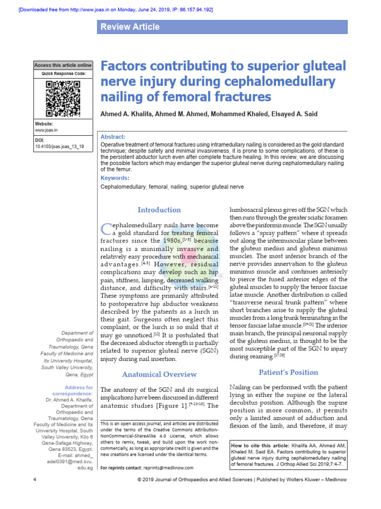 Factors Contributing To Superior Gluteal Nerve Inj | PDF | Limbs ...