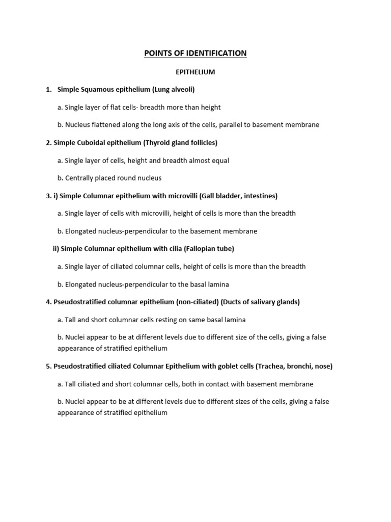 POINTS OF IDENTIFICATION - New | PDF | Epithelium | Connective Tissue