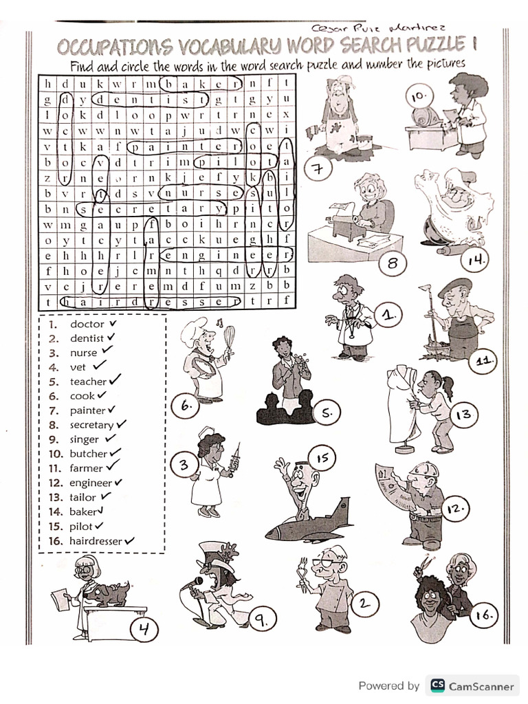 Worksheet - Basic Vocabulary | PDF