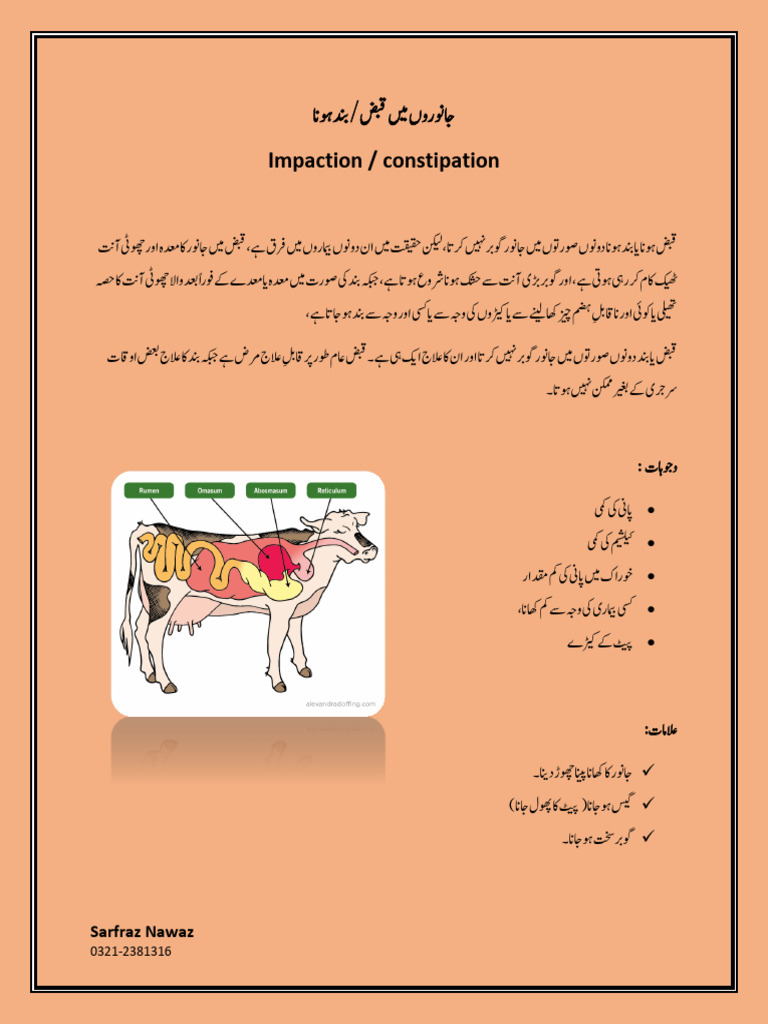 Constipation | PDF