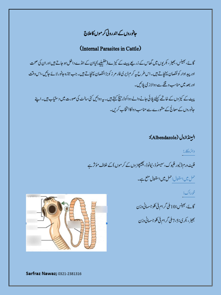 Internal Parasites | PDF