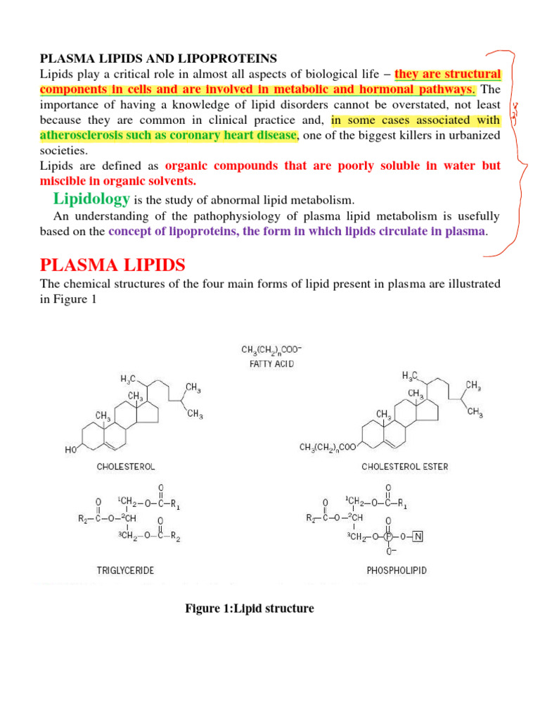 د زينة Lipid Disorder PDF 2 | PDF | Lipoprotein | Cholesterol