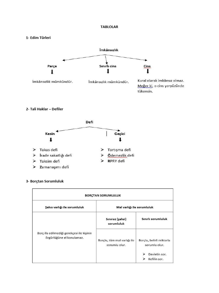 Borclar Tablolar | PDF