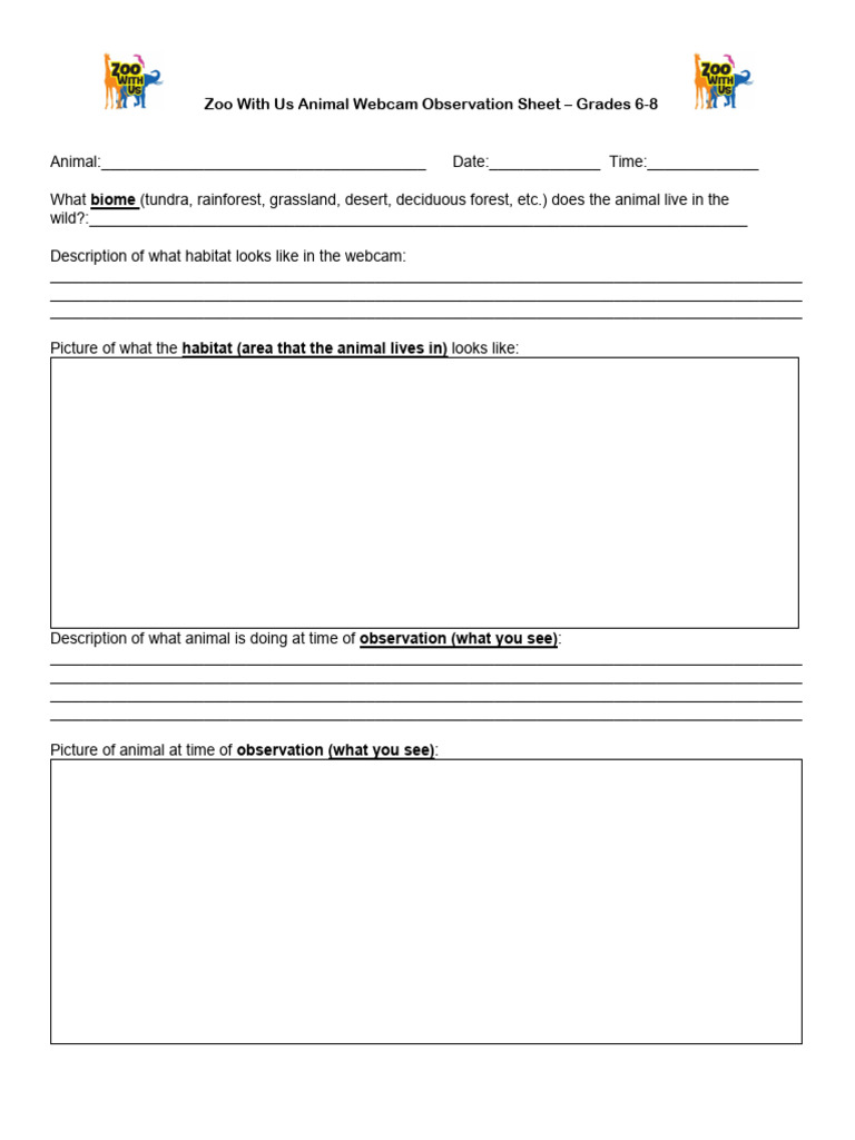 Animal Observation Worksheet Grades 6 8 | PDF