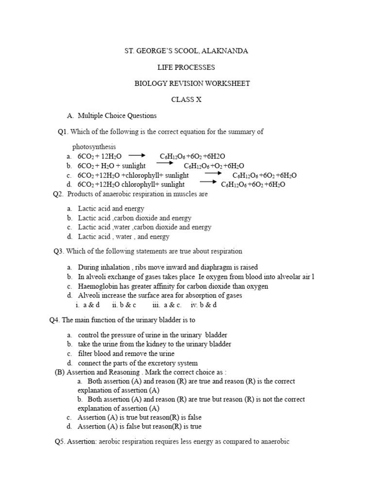 BIOLOGY Holiday Homework Worksheet | Download Free PDF | Respiratory ...