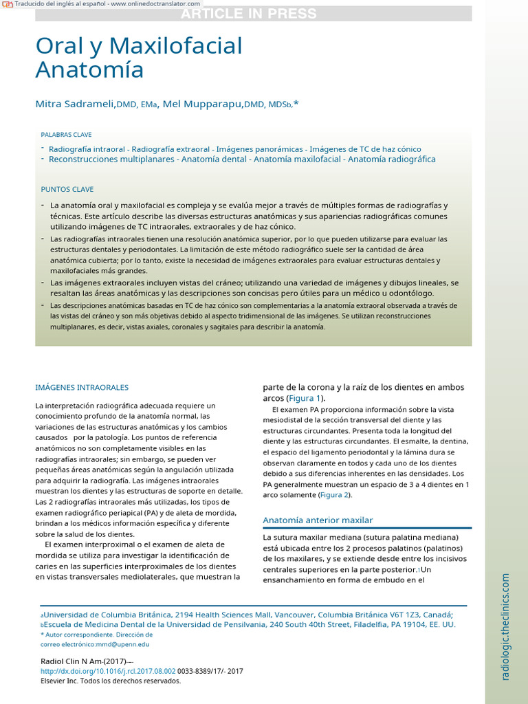 Paper Anatomía - Sadrameli 2017 | Descargar gratis PDF | Cráneo ...