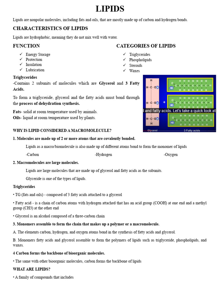 Lipids | PDF | Fat | Lipid