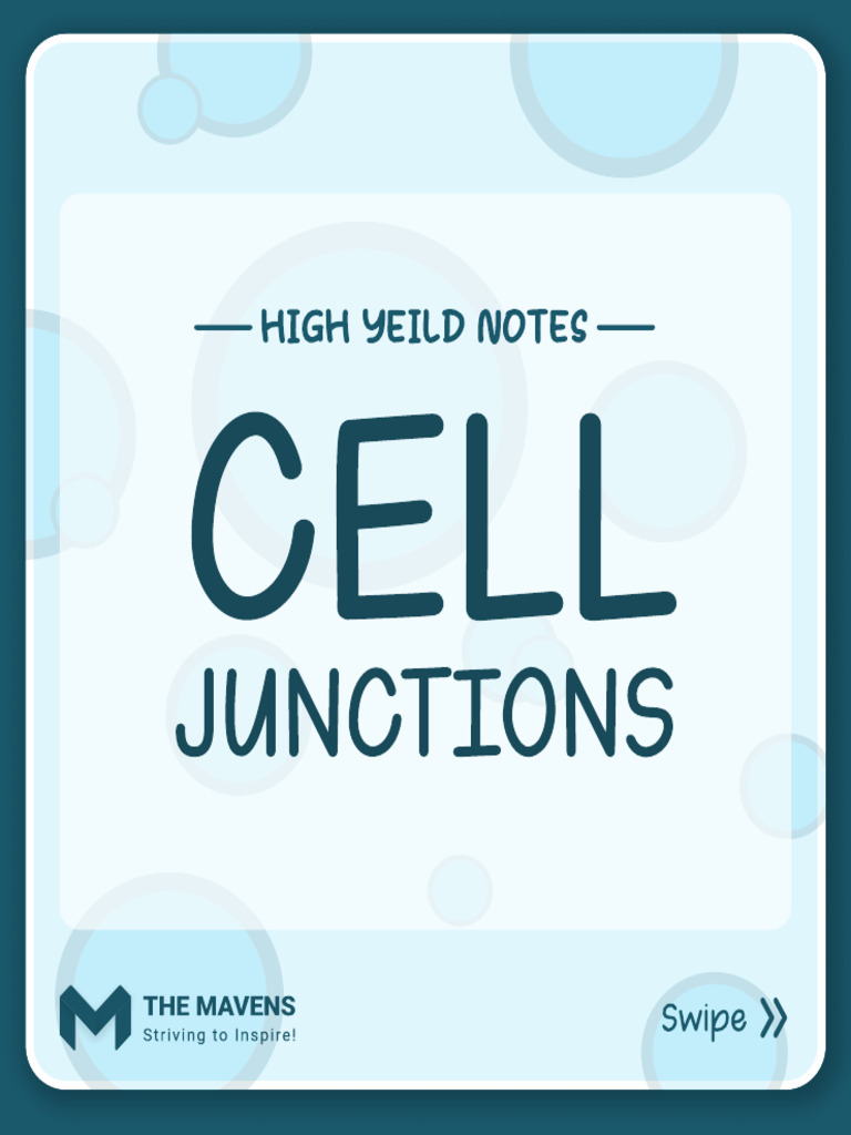 Cell Junction Notes by The Mavens | PDF