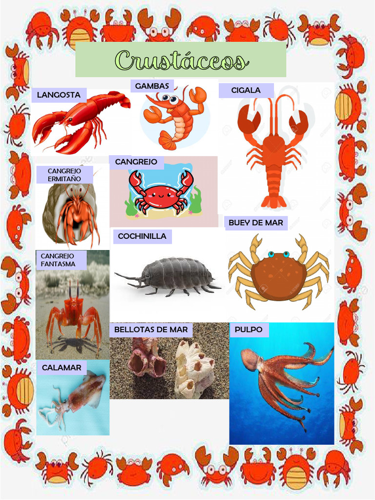 CRUSTACEOS | PDF | Cocina, comidas y vino
