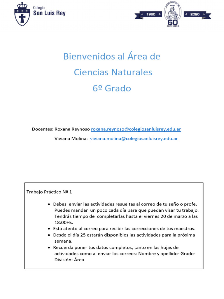 Actividades de Ciencias Naturales 6º Grado | PDF | Ciencias de la Tierra