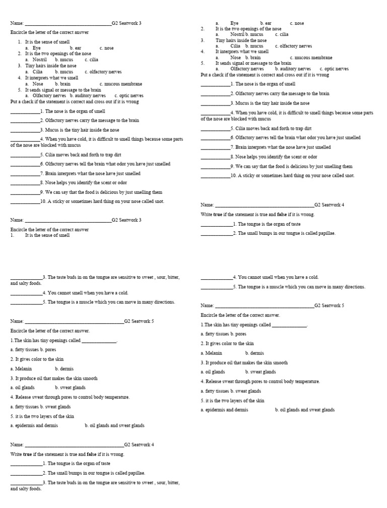 2g SCIENCE 2 sEATWORK 3 4 | PDF | Taste | Skin