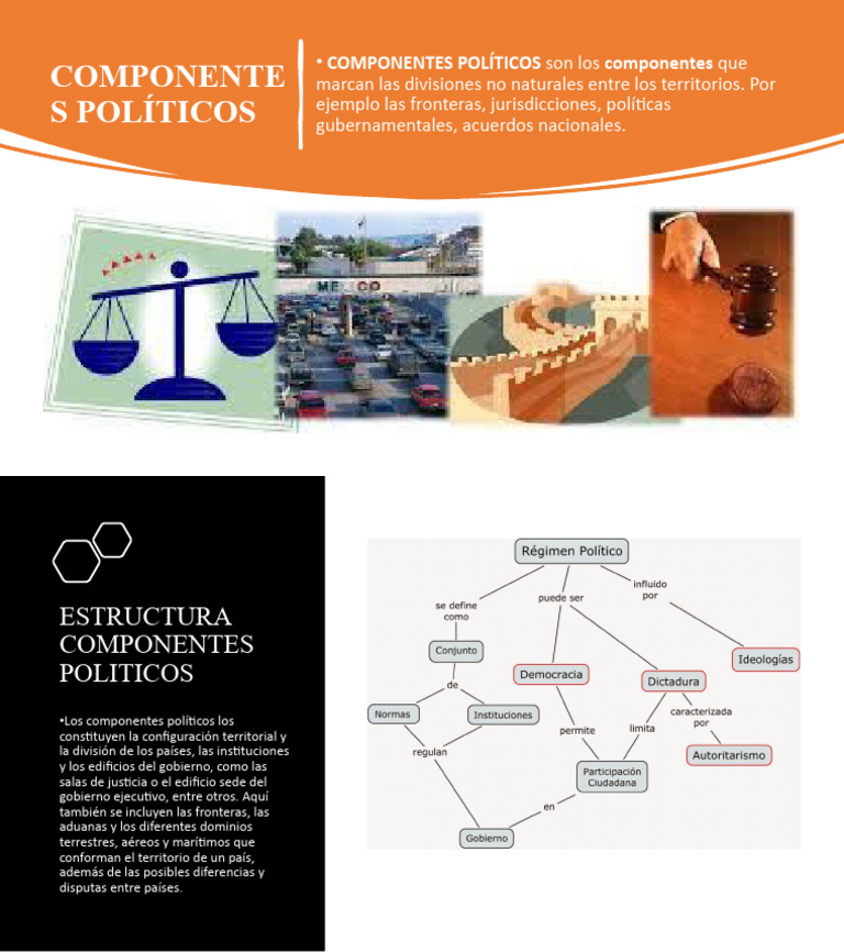 Componentes Políticos y su Estructura | PDF | Derecho