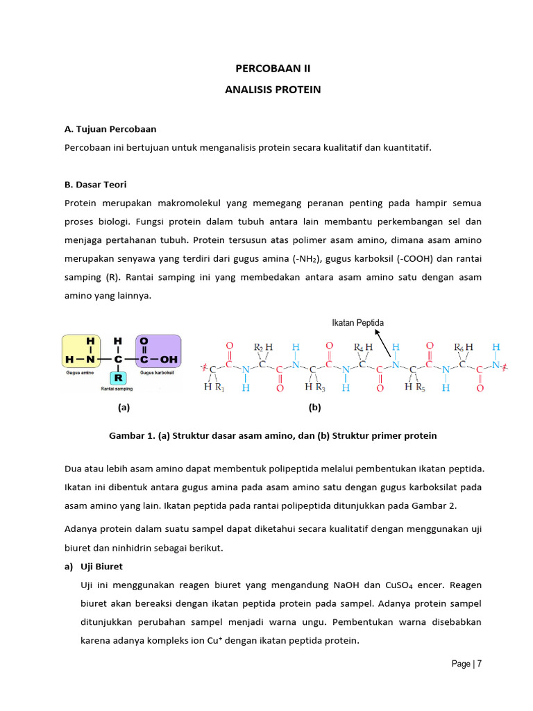 Analisis Protein | PDF