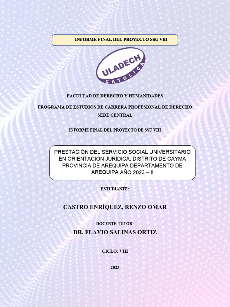 Informe Final de Responsabilidad Social VIII. Renzo | PDF | Entorno natural | Violencia doméstica