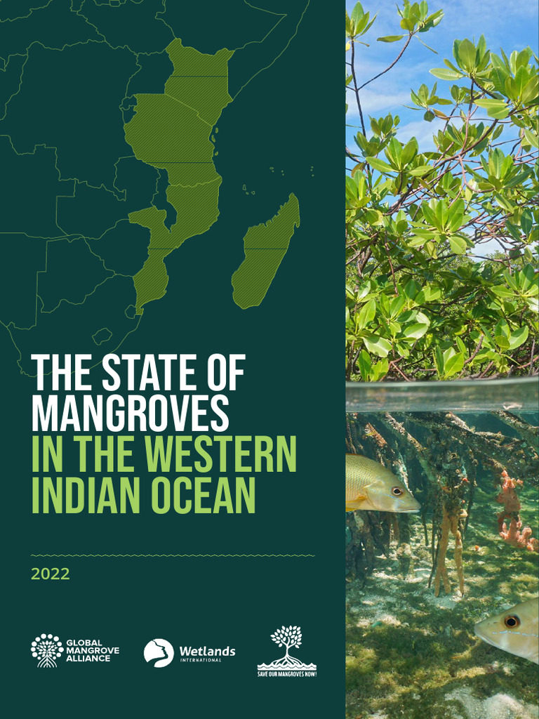 Wetlands-International Mangrove-Report 2022 v16F | PDF | Mangrove | Conservation Biology