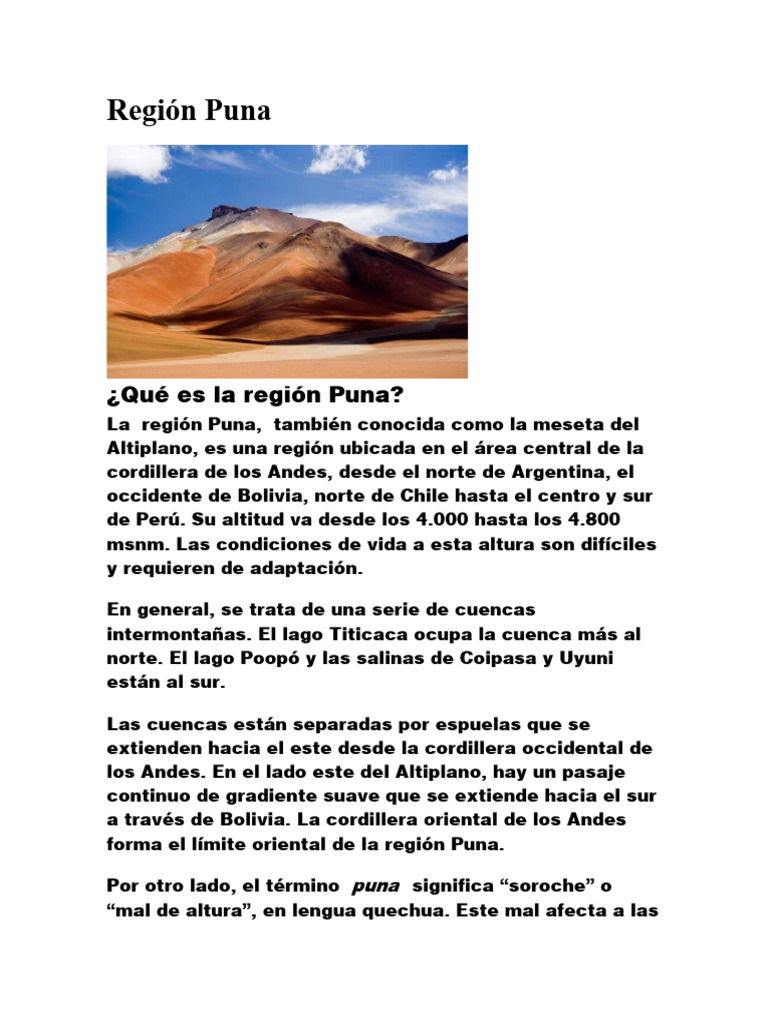 Información sobre la región Puna | PDF | Viajes y turismo