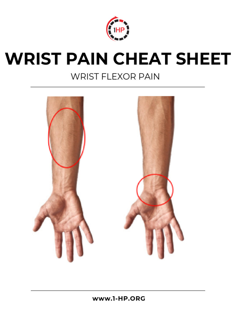 Wrist Flexor Cheat Sheet | PDF | Finger | Anatomical Terms Of Motion