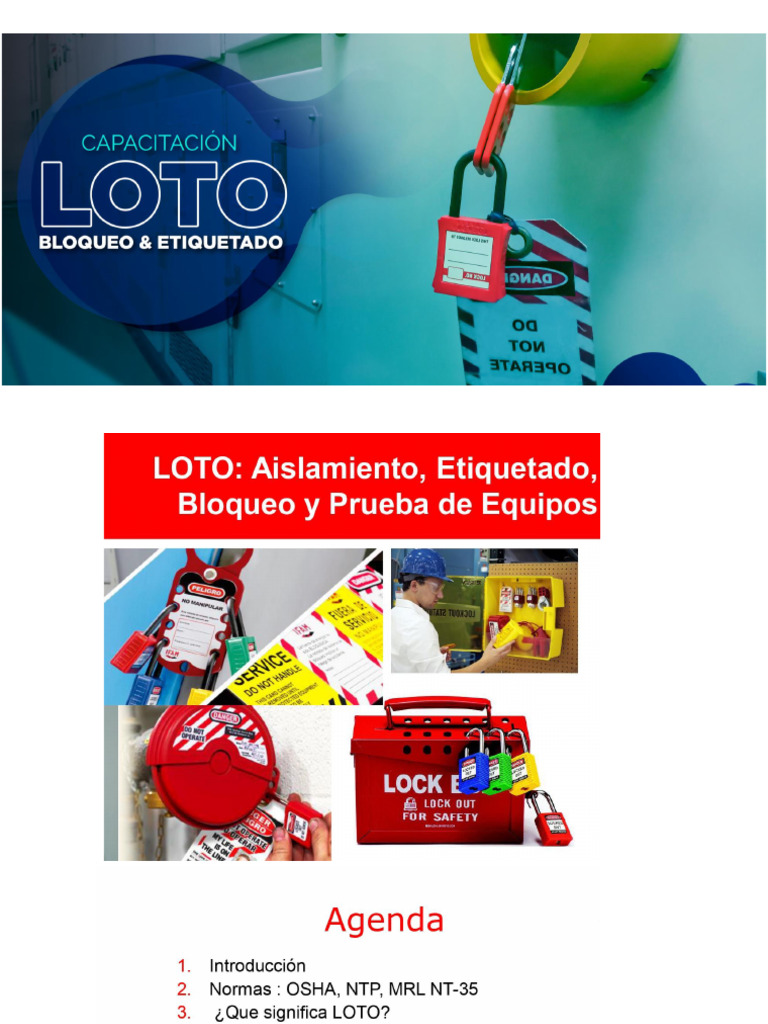 Presentacion Loto | PDF