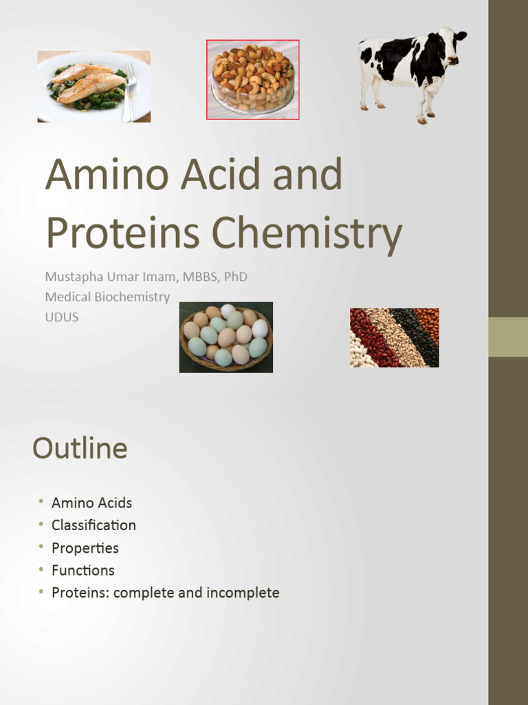 Amino Acids - Protein Chemistry | PDF | Amino Acid | Proteins