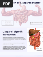 Anatomie de l'Appareil Digestif | PDF | Tractus gastro-intestinal | Bile