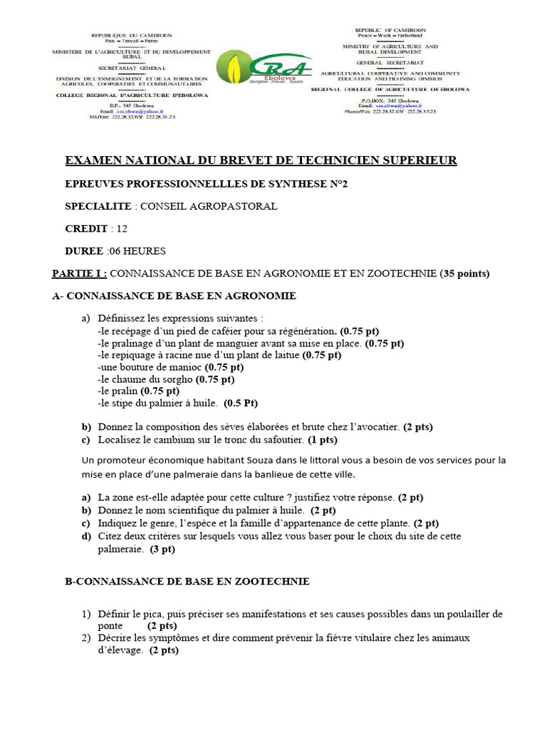 Épreuves de Brevet en Conseil Agropastoral | PDF | Cochon | Poulet