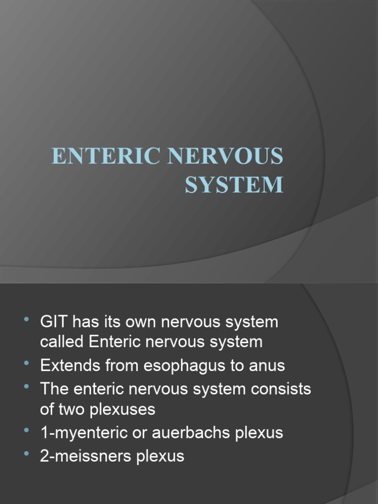 Overview of the Enteric Nervous System | PDF | Science & Mathematics