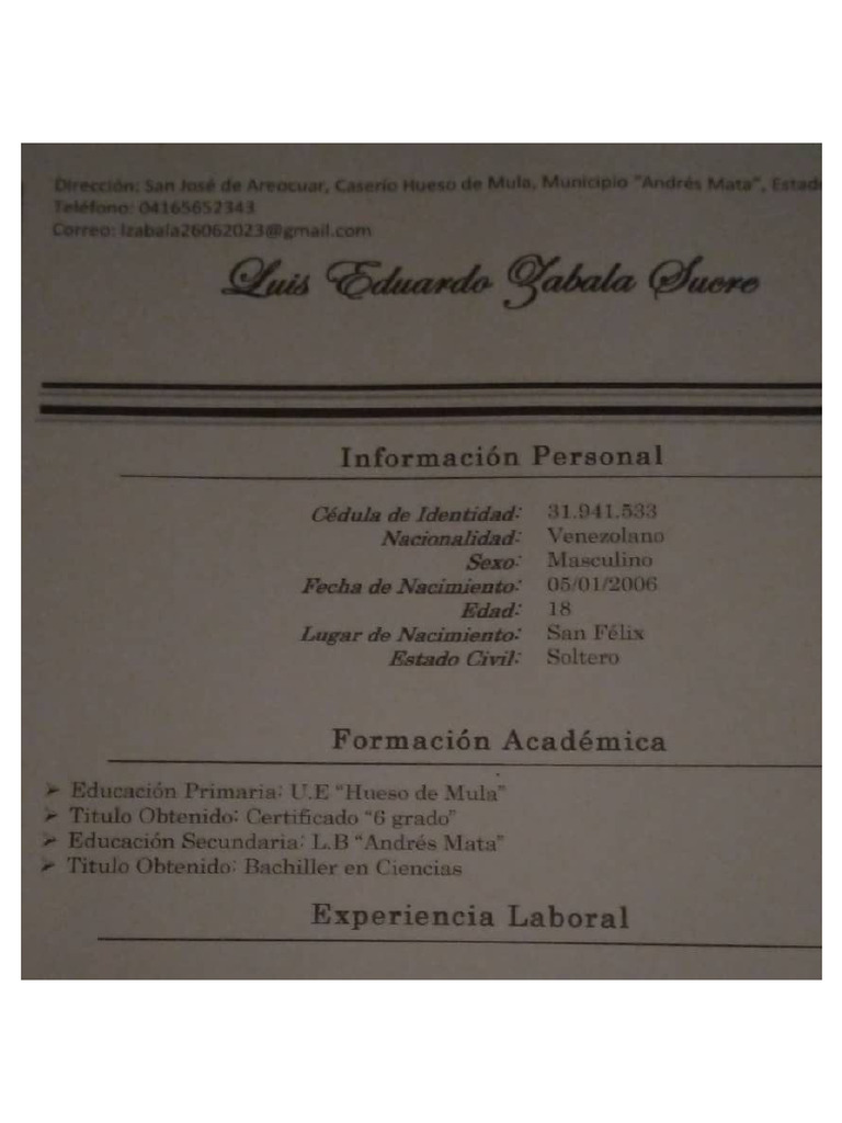 Currículum Luis Zabala | PDF