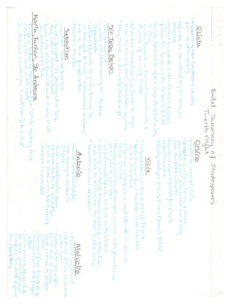 Twelfth Night Summary | PDF