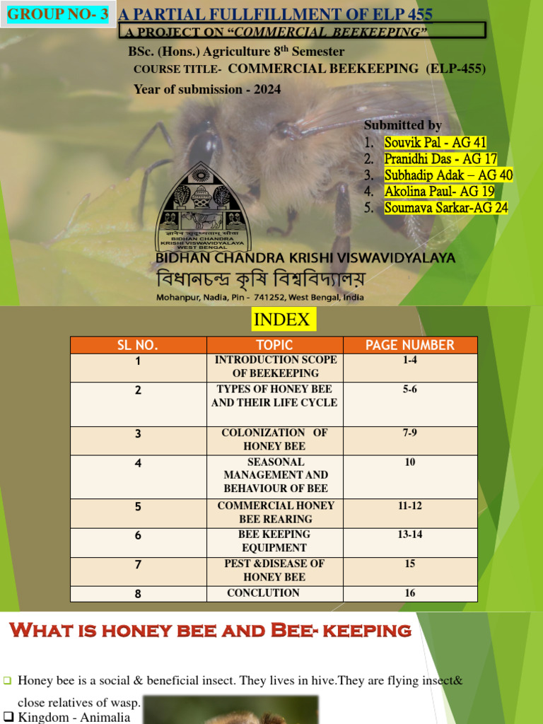 Commercial Beekeeping Overview and Practices | PDF | Honey Bee | Bees