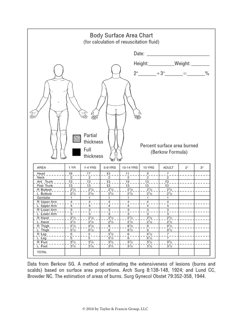 Previewpdf | PDF | Burn | Ios