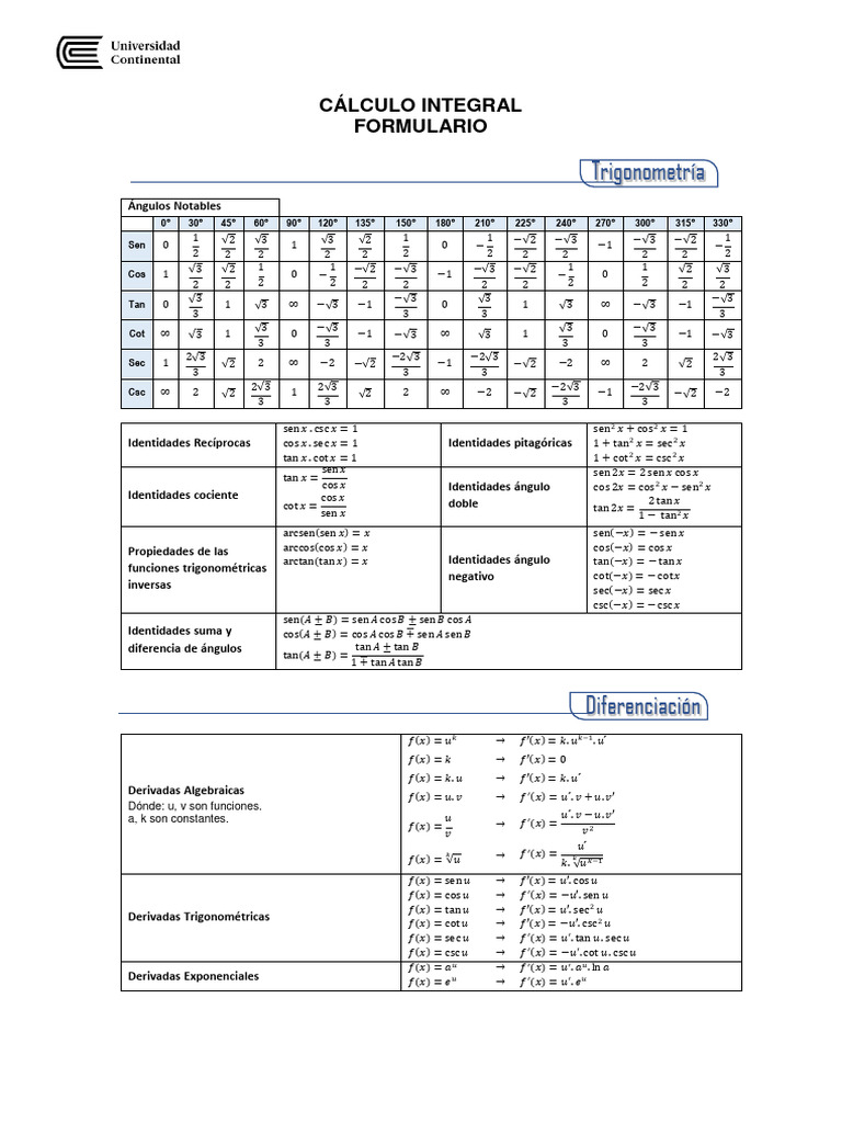 Form CI 2024 - Completo | PDF