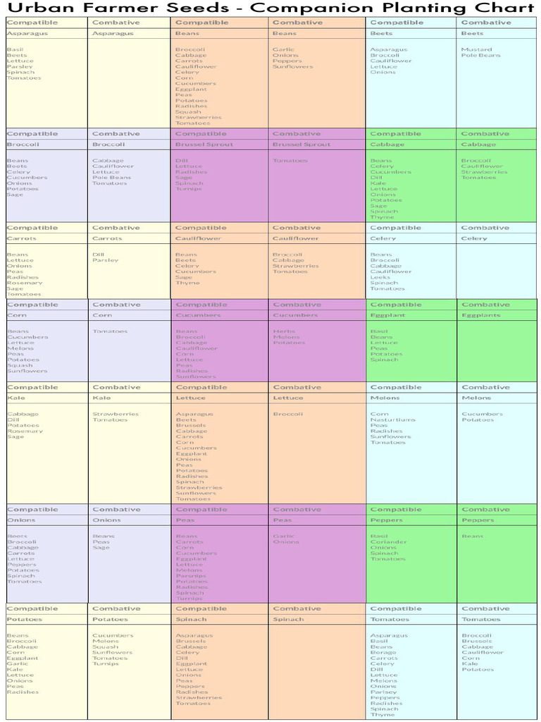 Companion Planting Chart Agri Chart Compressed Pdf