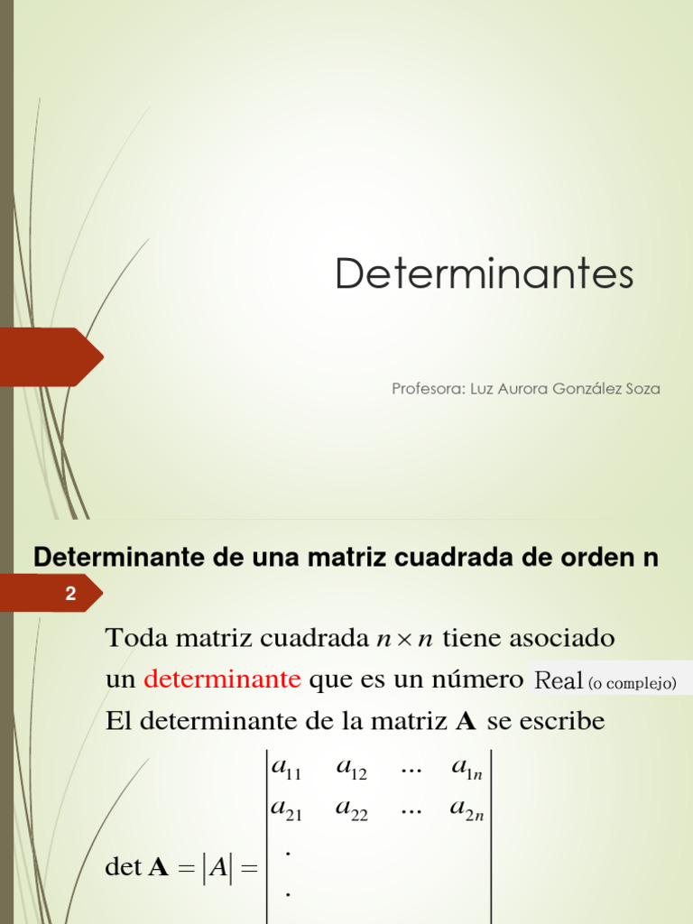 Unidad I - Matrices Parte 4 | PDF | Determinante | Matriz (Matemáticas)