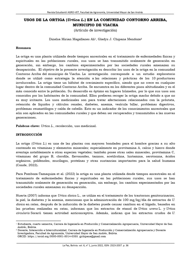 5-Usos de La Ortiga | PDF