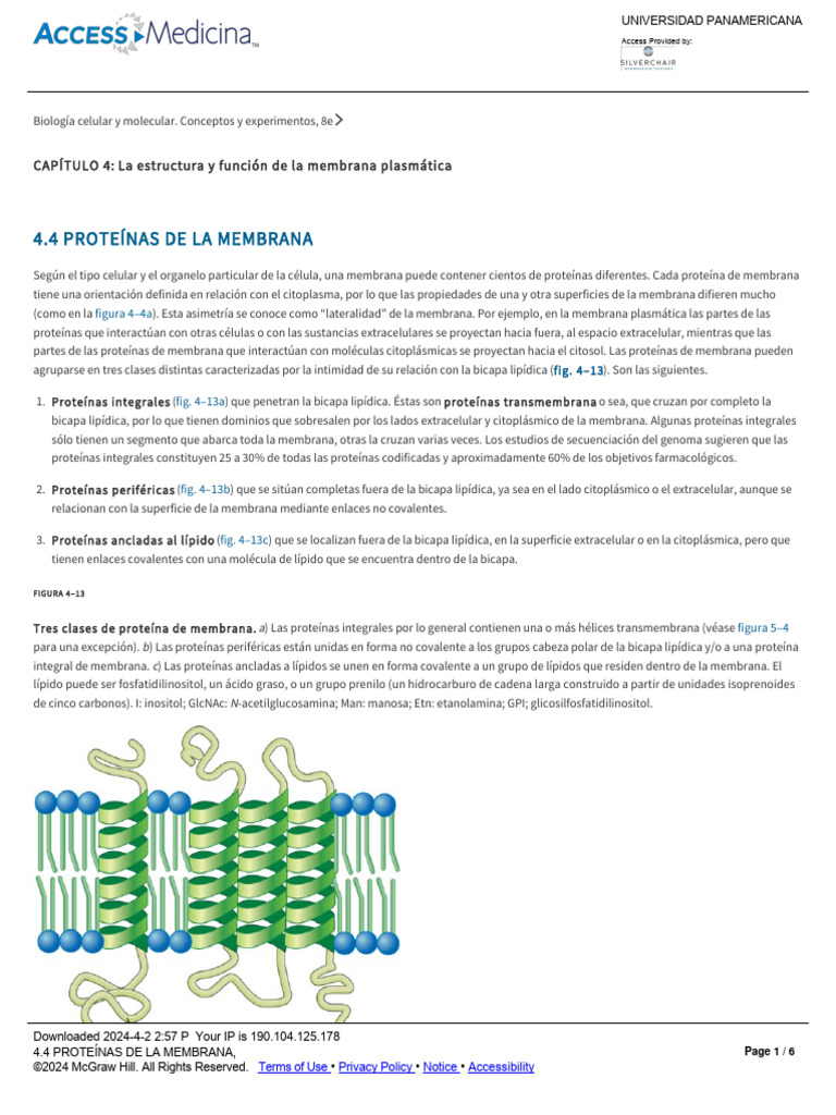 Estructura y función de proteínas de membrana | PDF | Membrana biológica | Membrana celular
