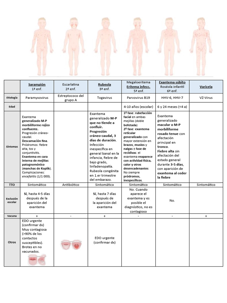 Amboss | PDF | Ciencias de la Salud | Enfermedades y trastornos